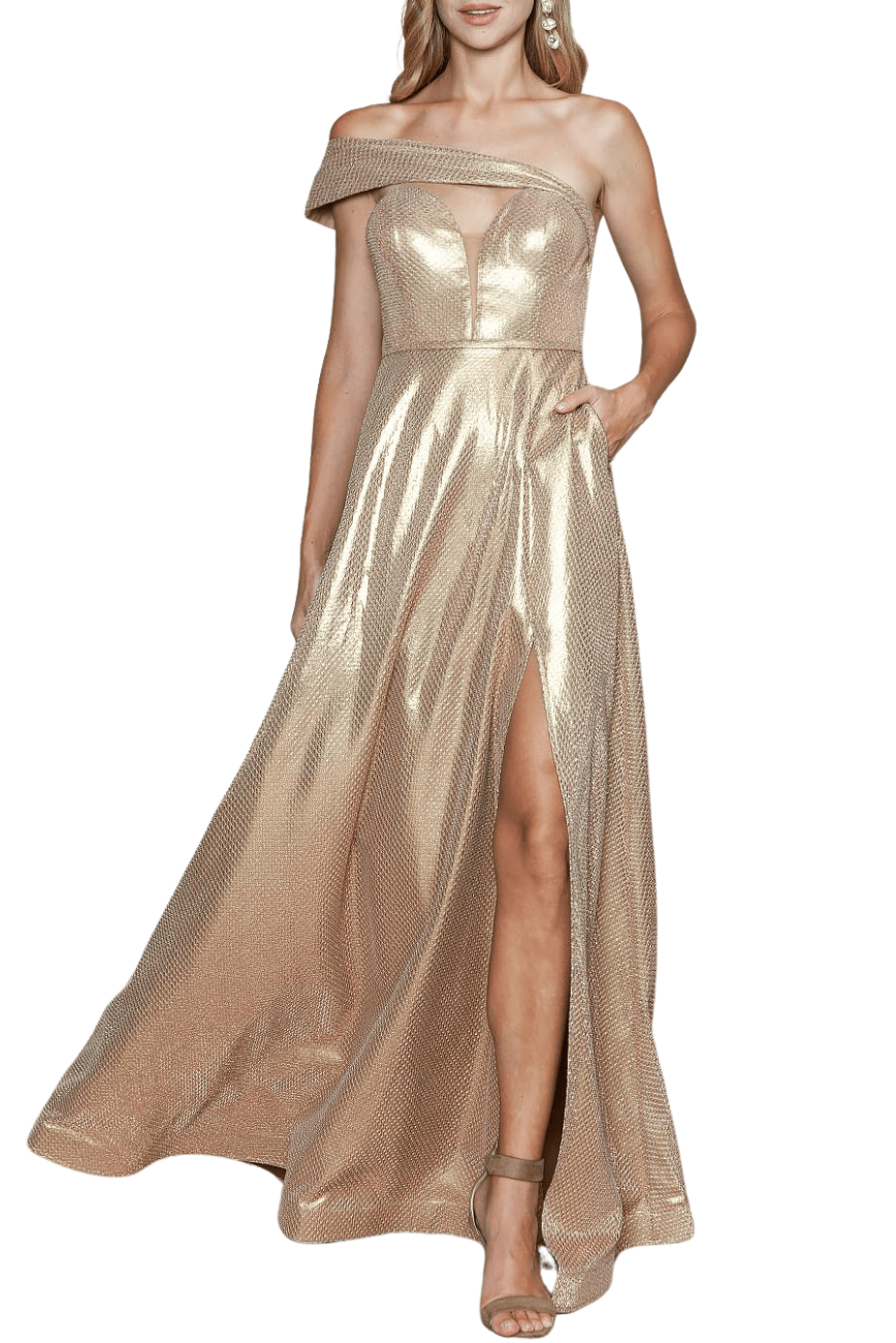 One Shoulder Shimmering Gown – Fashion Forum